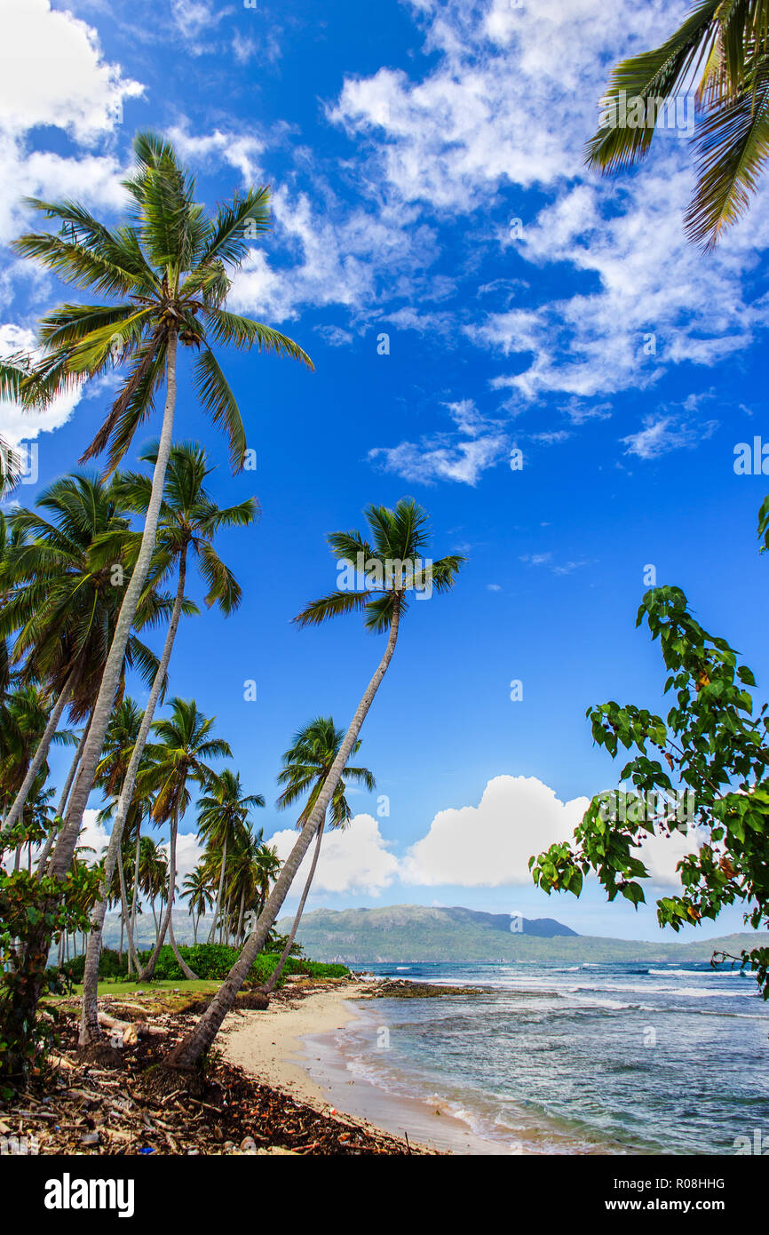Tropical beach landscape. Samana, Dominican Republic Stock Photo - Alamy