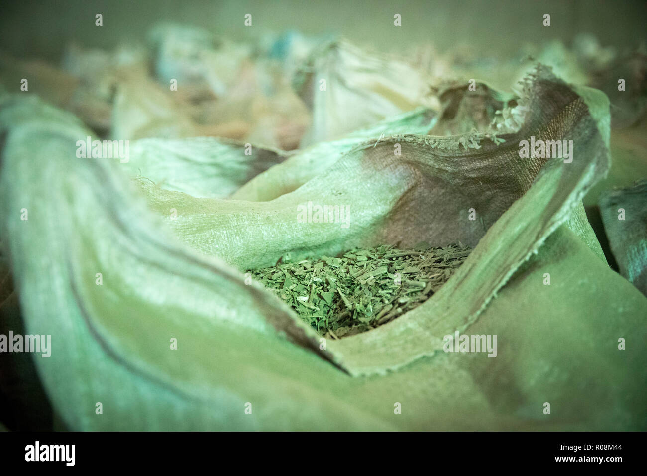 Trinidad tea hi-res stock photography and images - Alamy