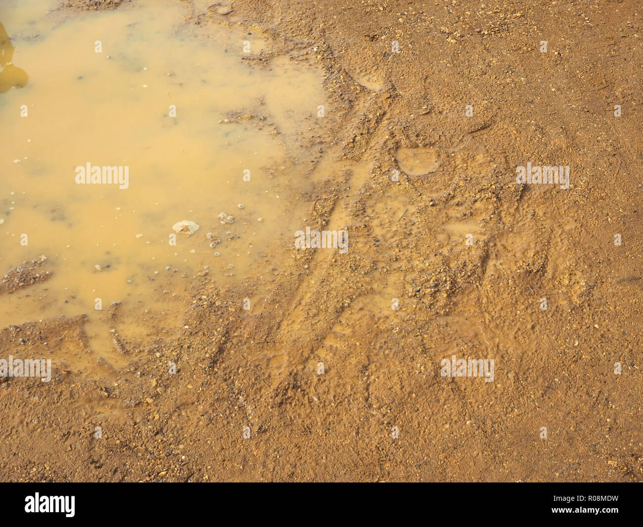 puddle of rainwater and mud on the ground Stock Photo - Alamy