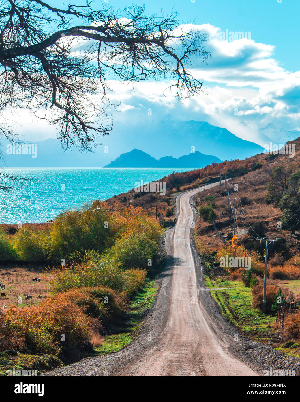 Carretera austral chile hi-res stock photography and images - Alamy