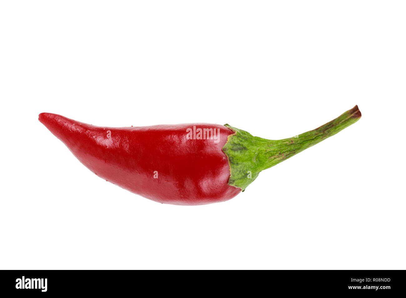 one horizontal hot red chili pepper isolated on white background. spicy ...