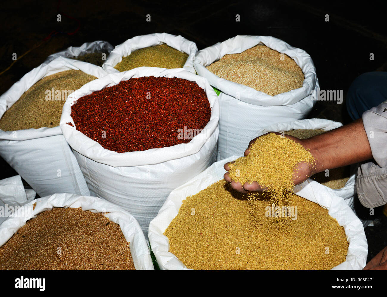 Indian Millet High Resolution Stock Photography and Images - Alamy