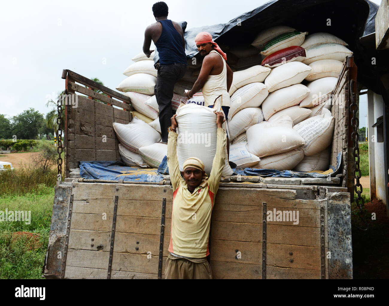 Downloading big millet bags in a millet mill and factory in Karnataka ...