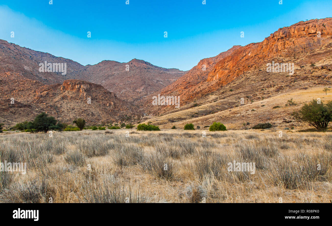 Traveling in Damaraland, Namibia Stock Photo - Alamy