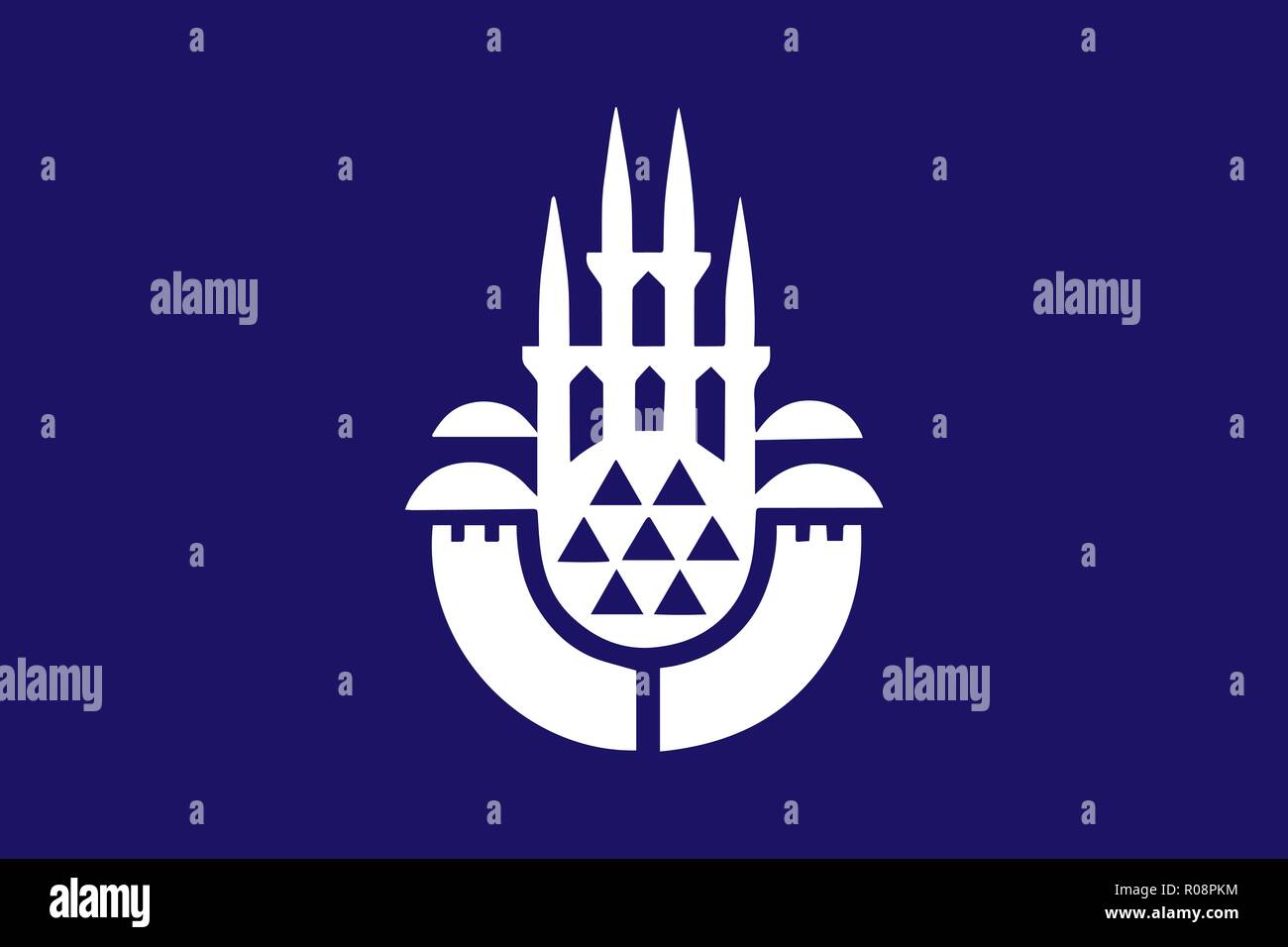 Simple flag of Istanbul. Correct size, proportion colors Stock Vector ...