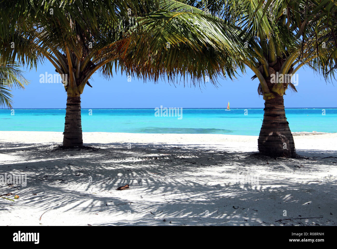 Idyllic tropical setting hi-res stock photography and images - Alamy