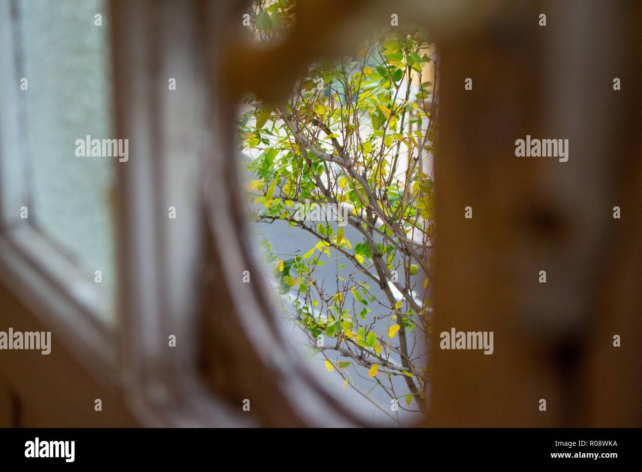 Street through a window Stock Photo - Alamy