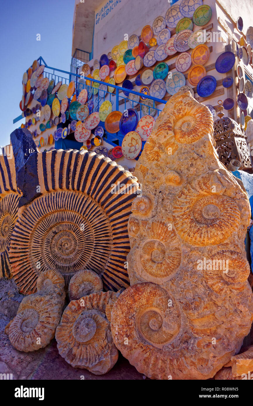 Agadir Ammonite fossils being sold along with pottery at a shop run by ...