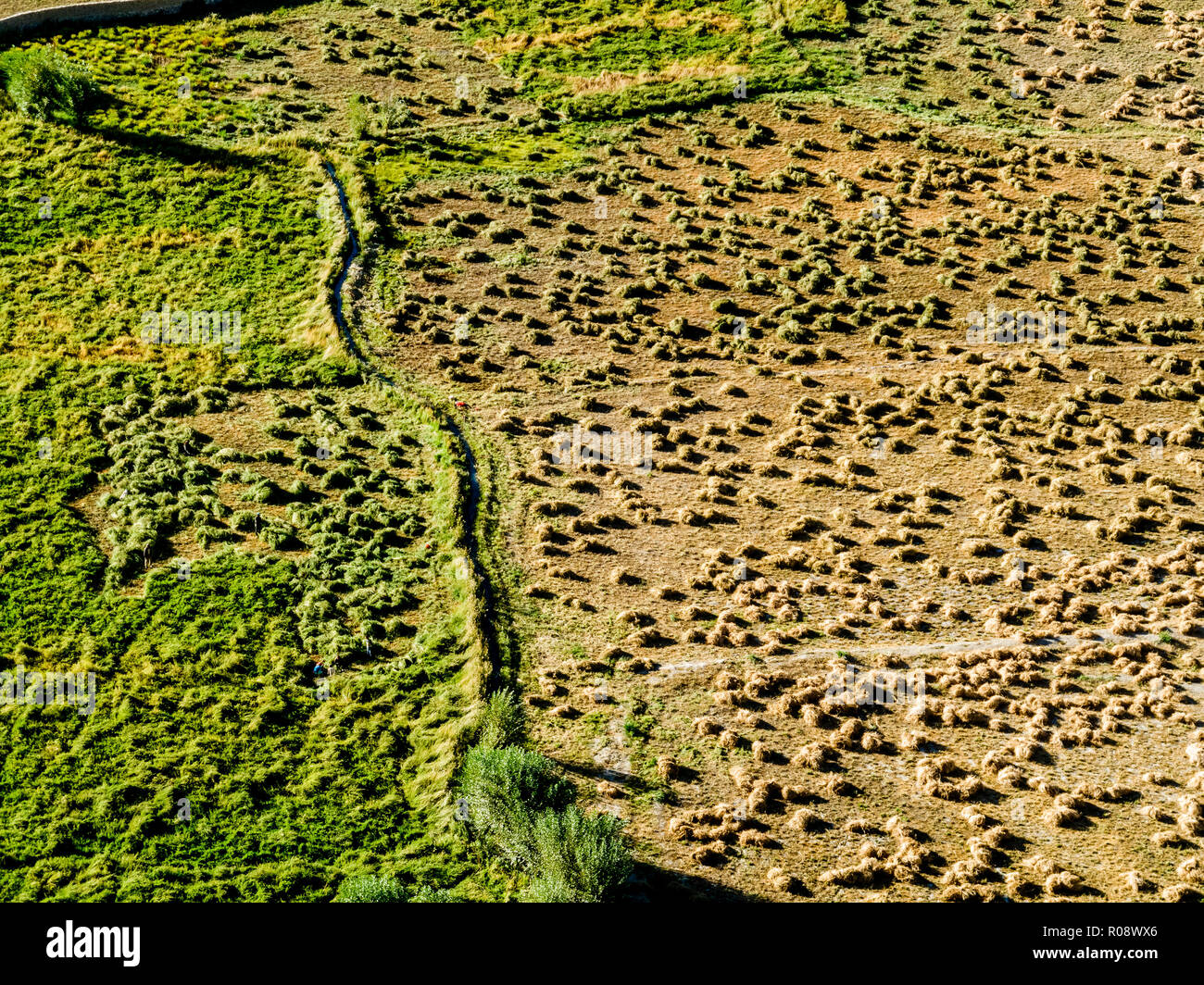 Irrigated farmland along the river Indus, seen from the rooftop of ...