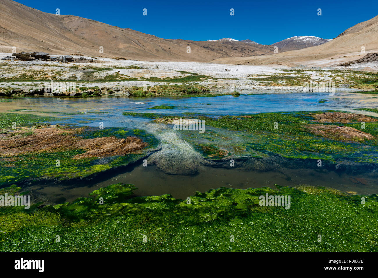 Hot springs, located at an altitude of 4.600 m above sea level in ...