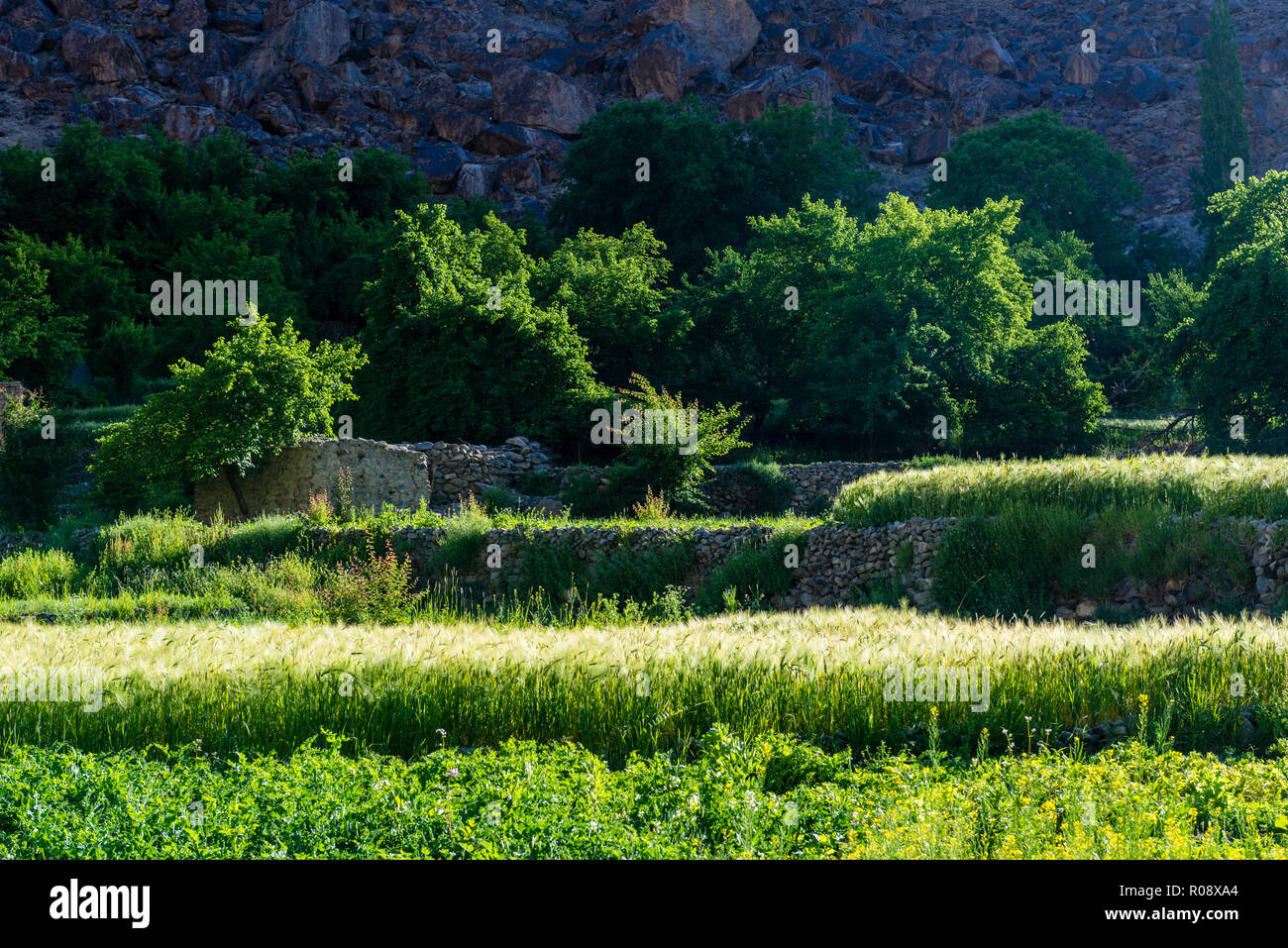 Farming land indus hi-res stock photography and images - Alamy