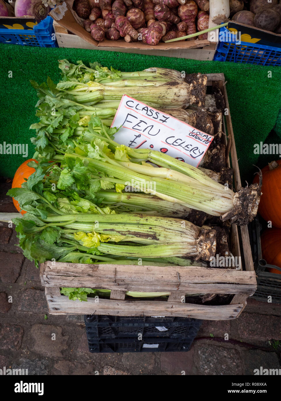 Fen celery hi-res stock photography and images - Alamy