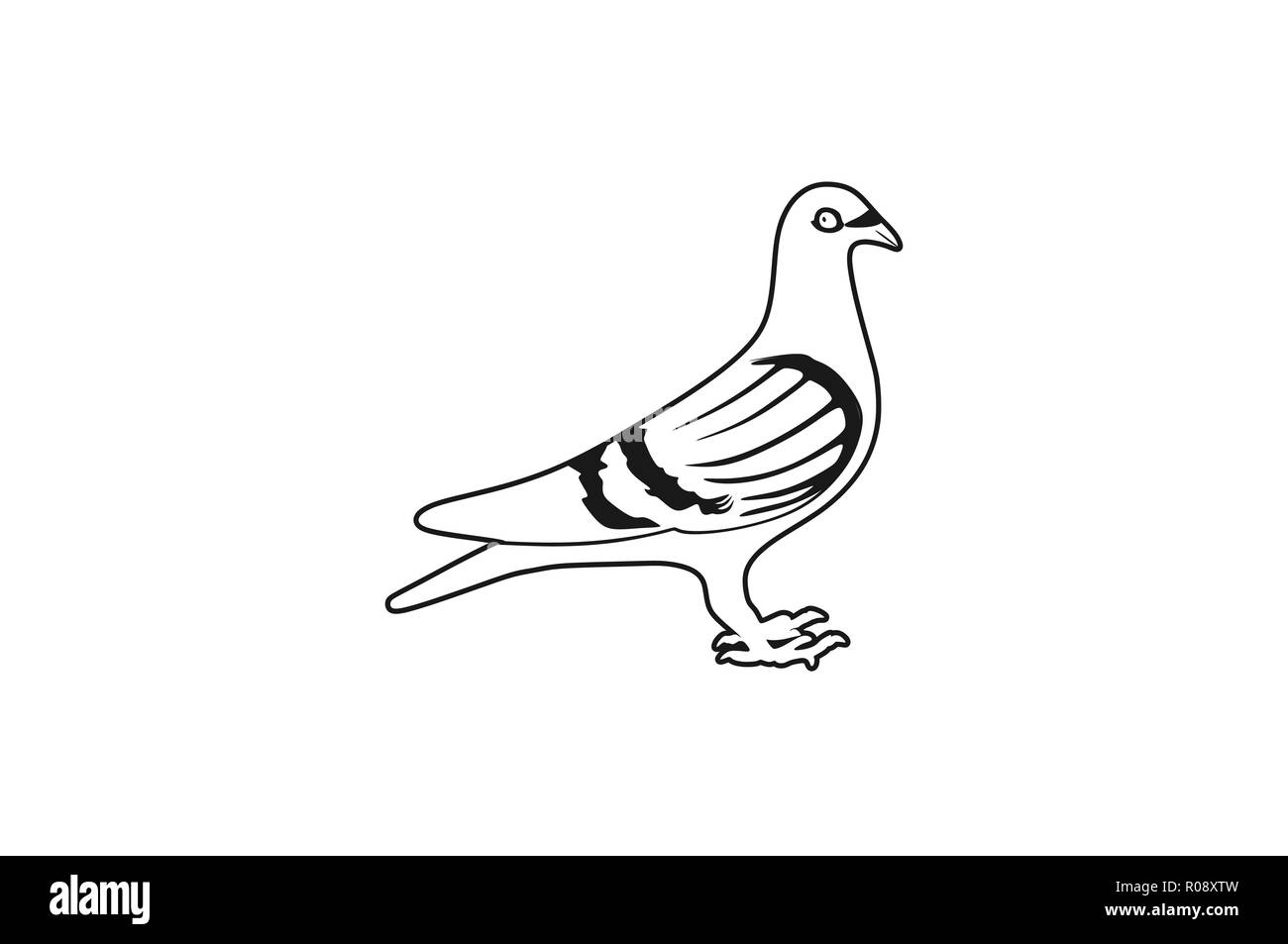 pigeon logo design Stock Vector Image & Art - Alamy