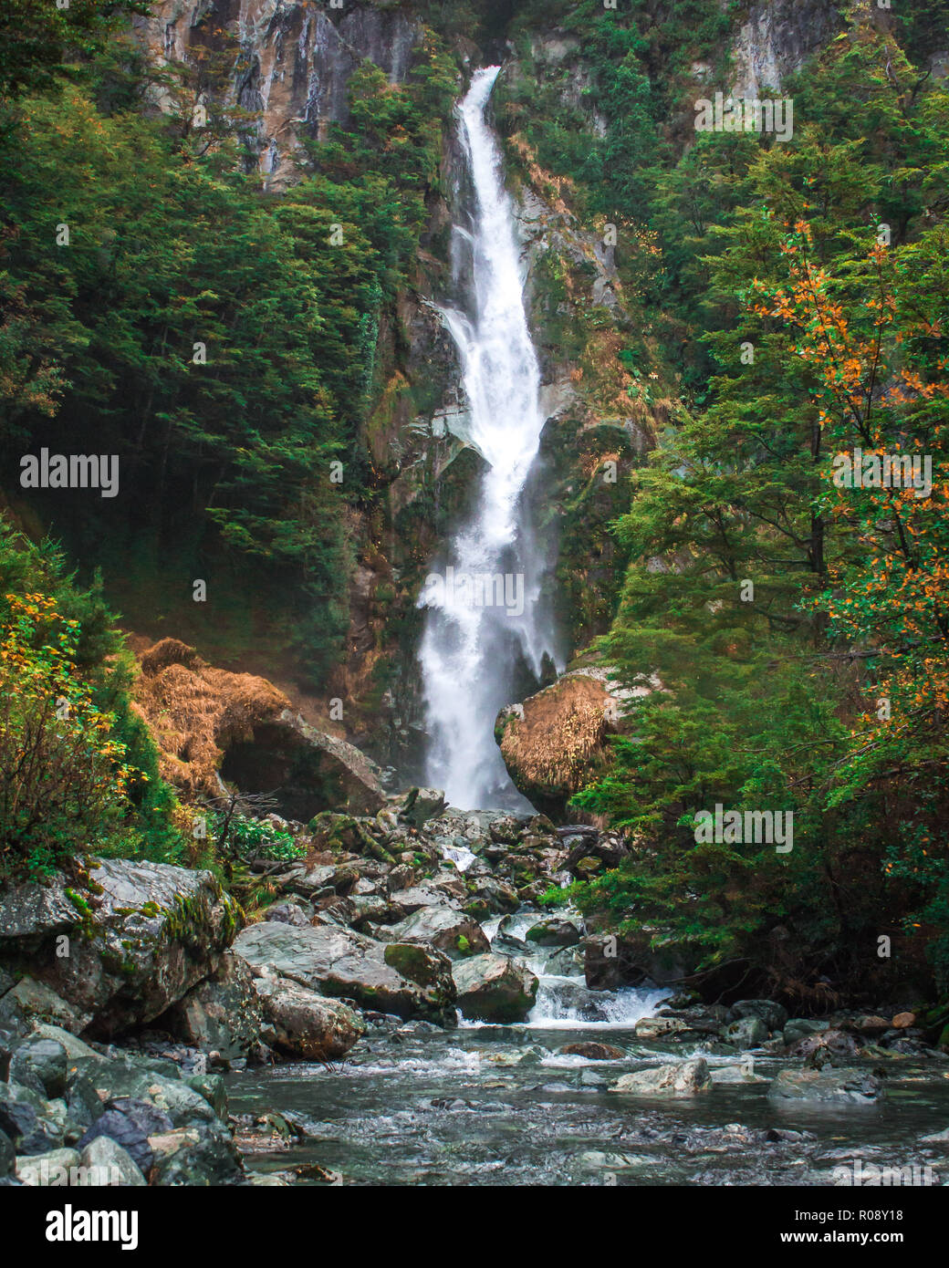 smal waterfall at the woods of chilean patagonia during autumn Stock ...