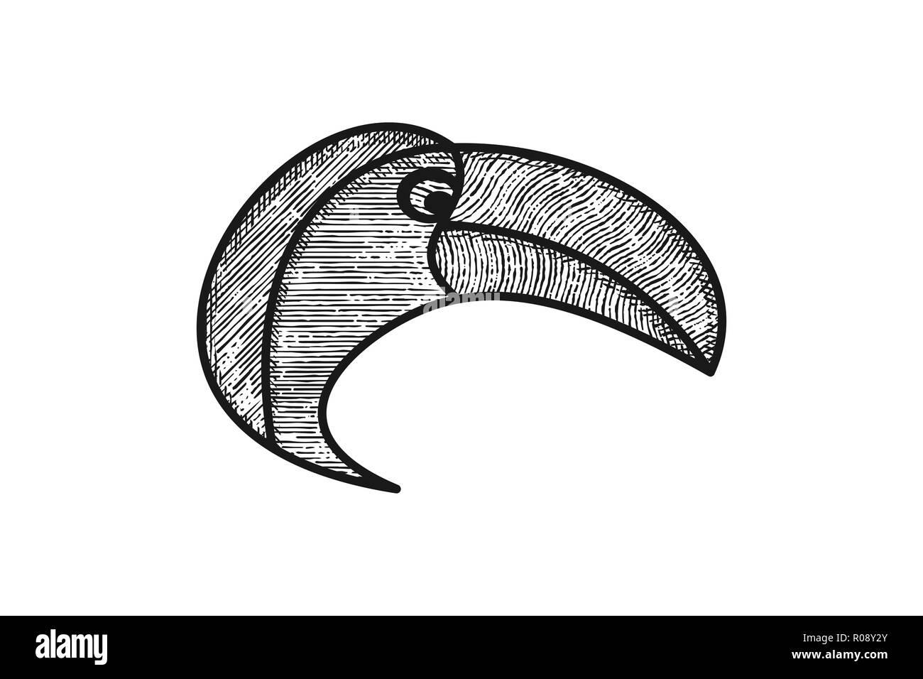 Macaw bird icon Black and White Stock Photos & Images - Alamy