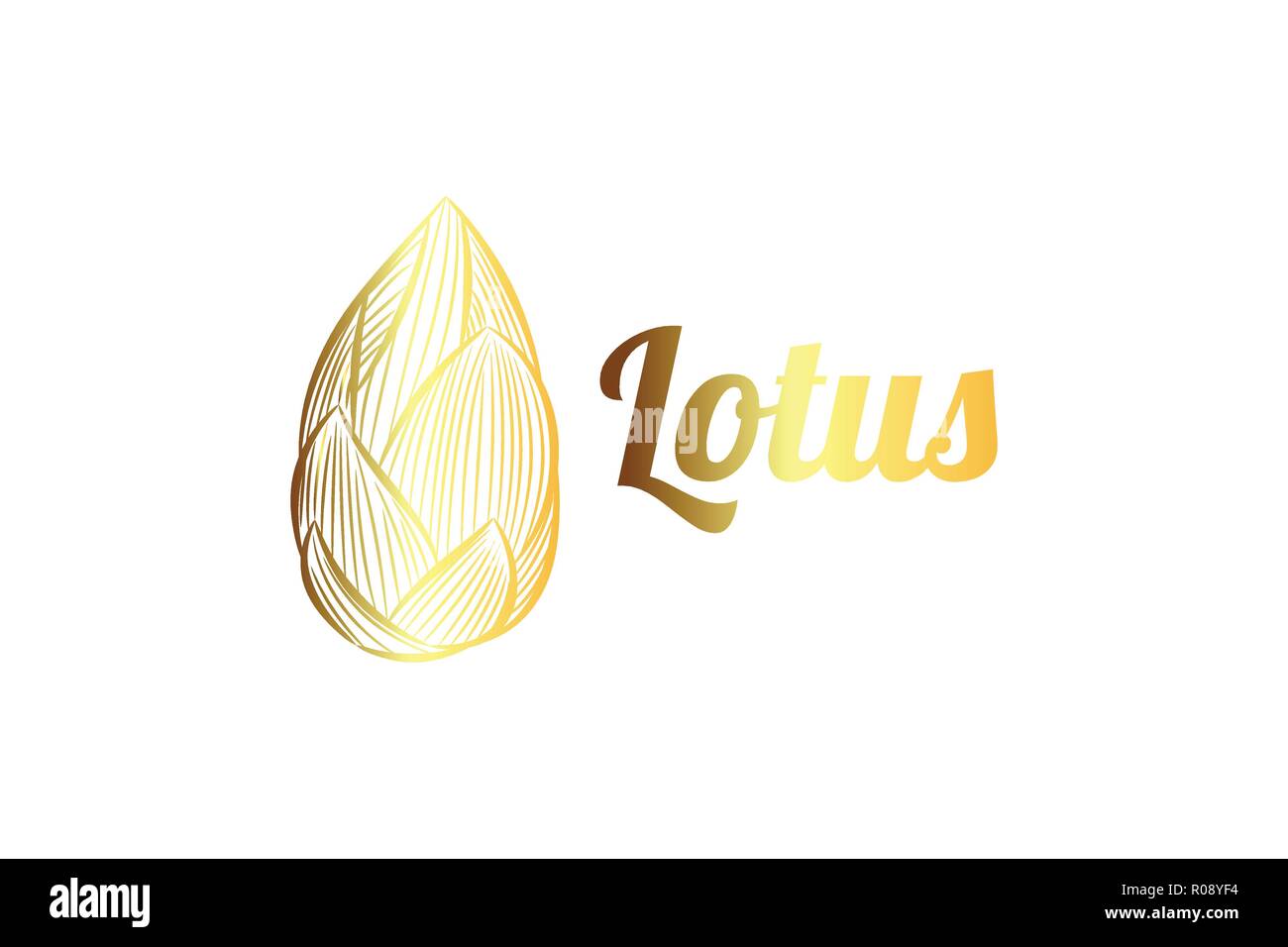 Gold lotus flower pattern Cut Out Stock Images & Pictures - Alamy