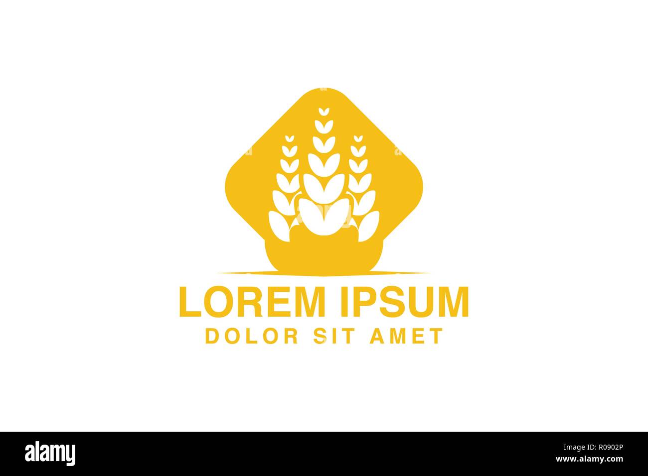 Wheat Grain agriculture logo Designs Inspiration Isolated on White ...