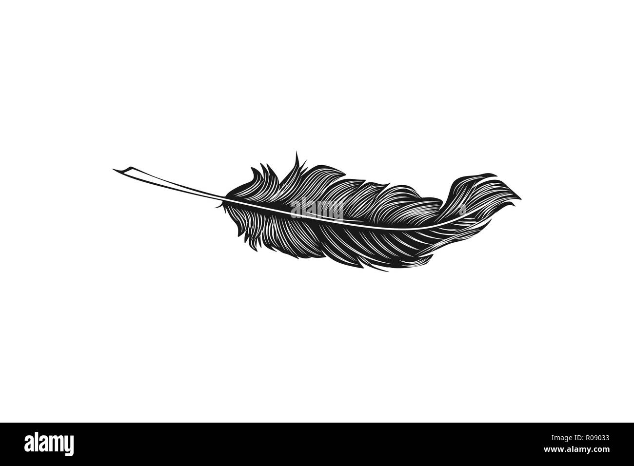Hand drawn classic feather logo design inspiration Isolated On white ...