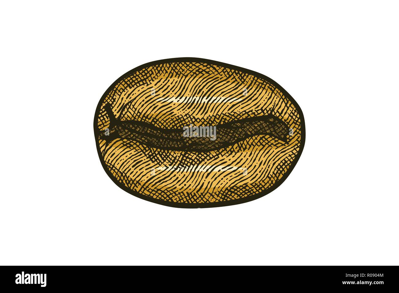 Hand drawn coffee bean logo Designs Inspiration Isolated on White ...