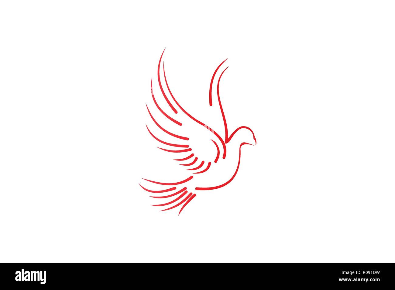 flying pigeon, mono line wedding logo Designs Inspiration Isolated on ...