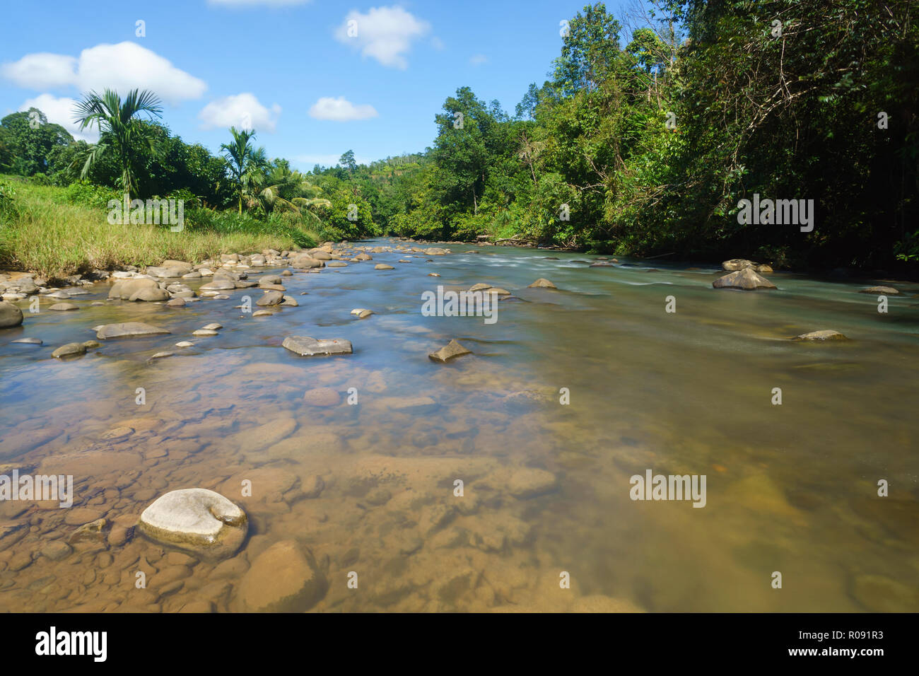 Nature jungle river in Sabah Malaysian Borneo Stock Photo - Alamy