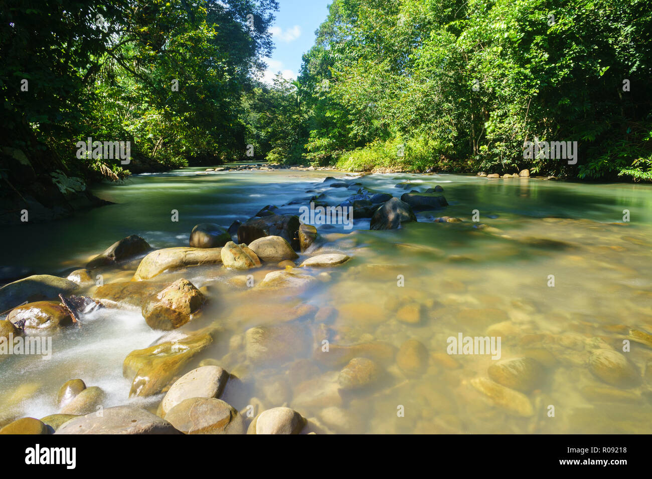 Nature jungle river in Sabah Malaysian Borneo Stock Photo - Alamy