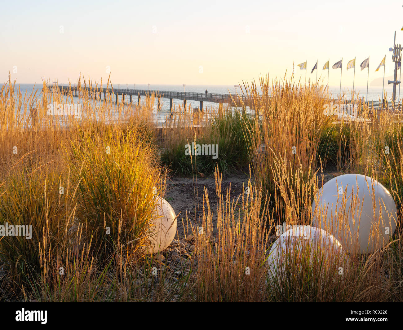 beach in the morning Stock Photo - Alamy