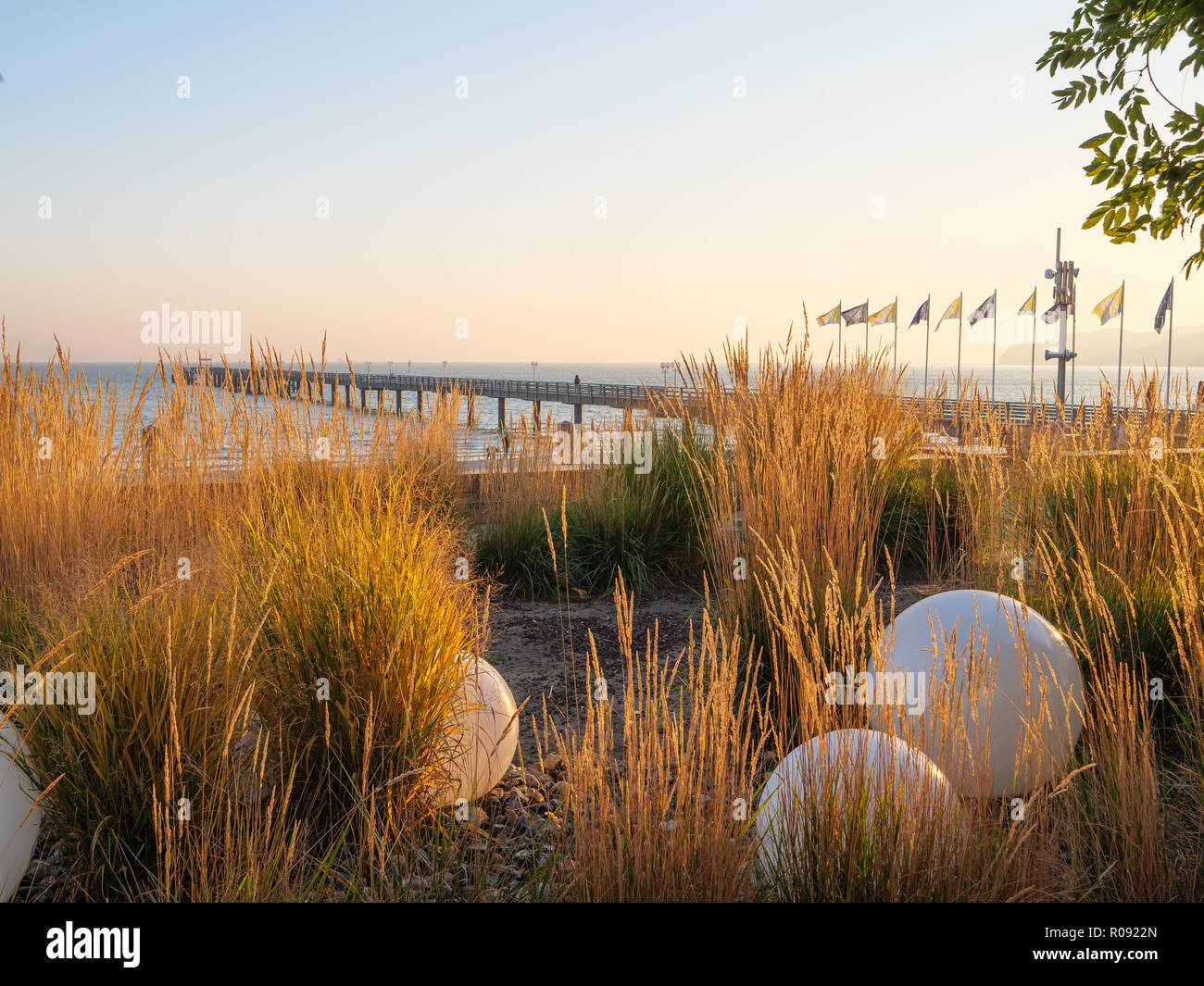 beach in the morning Stock Photo - Alamy