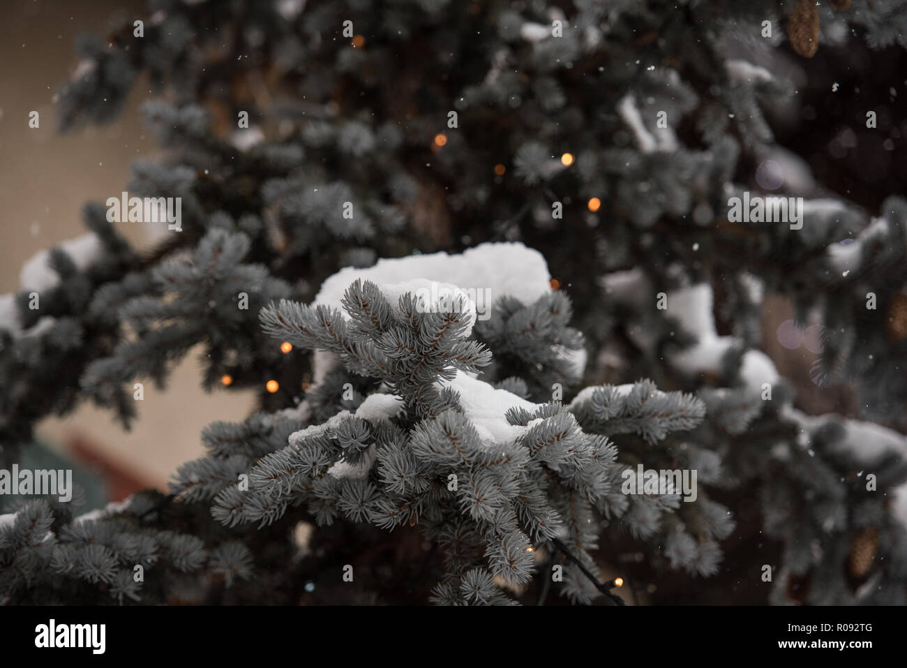 People in ski resort village covered by snow in Europe during winter ...