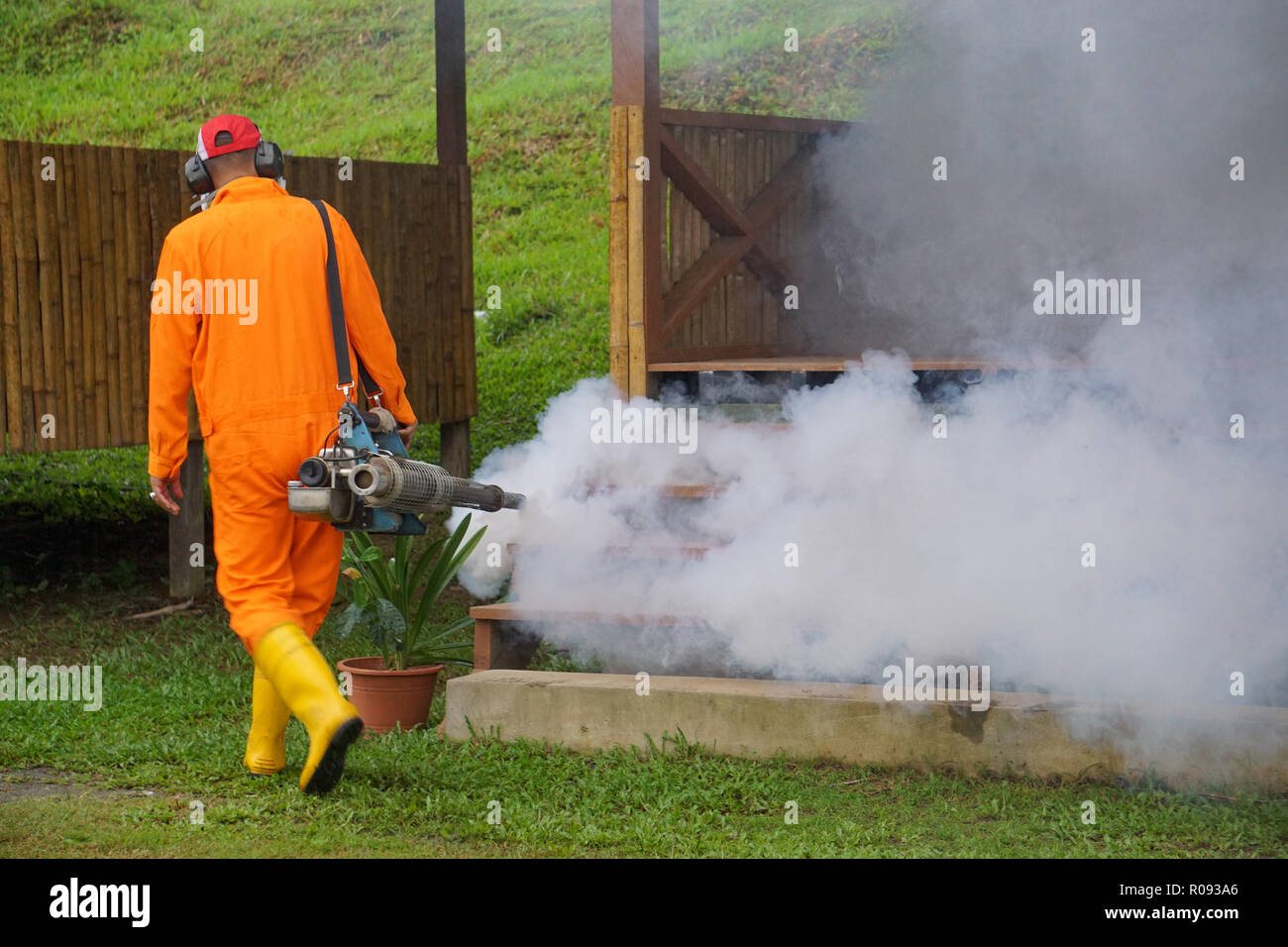 Worker fogging housing area with insecticides to kill aedes mosquito ...