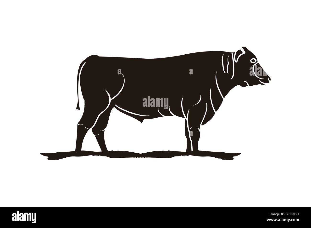 slaughter, Cattle , Beef logo Designs Inspiration Isolated on White ...
