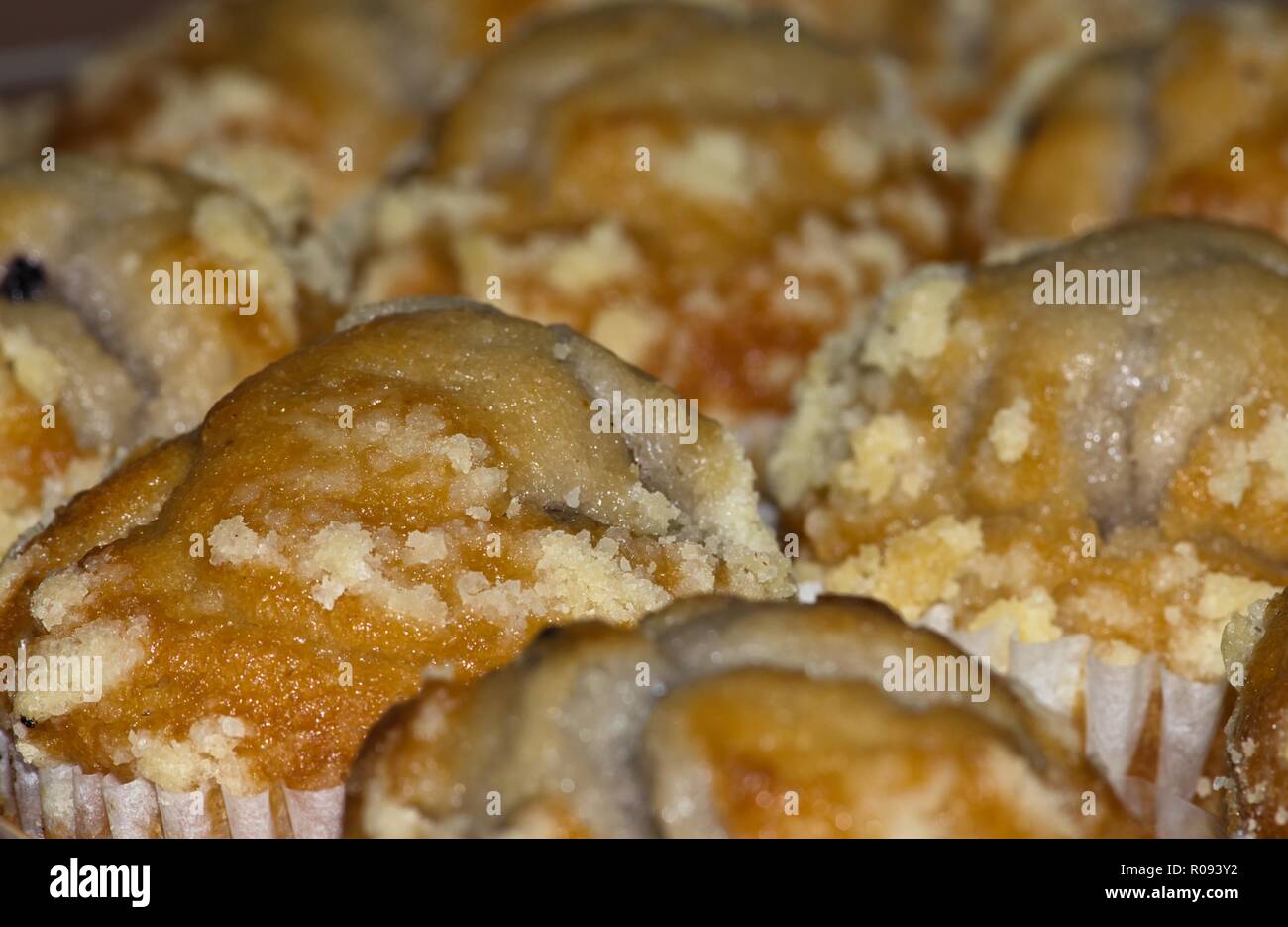 A fresh batch of blueberry muffins as seen through a macro lens with an ...