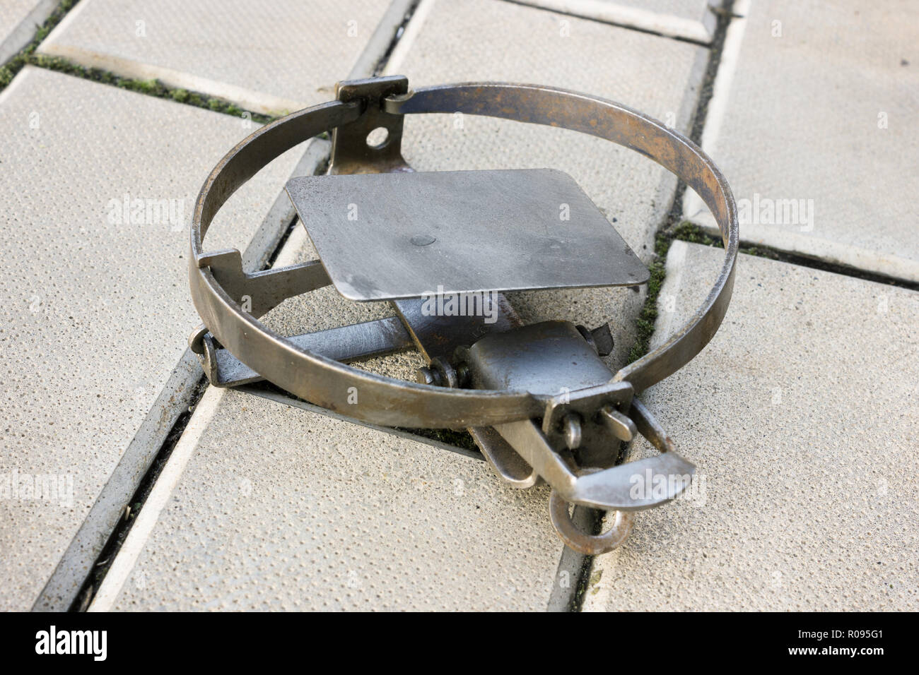 One rusty iron trap lying on the stone floor, cocked Stock Photo - Alamy