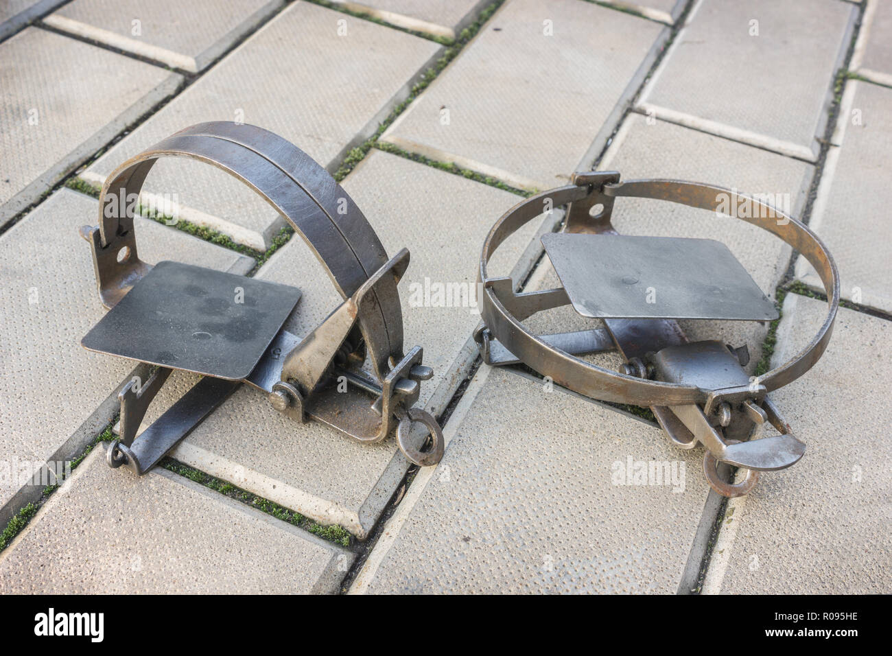 Two iron rusty traps lie on the stone floor, not cocked and cocked ...