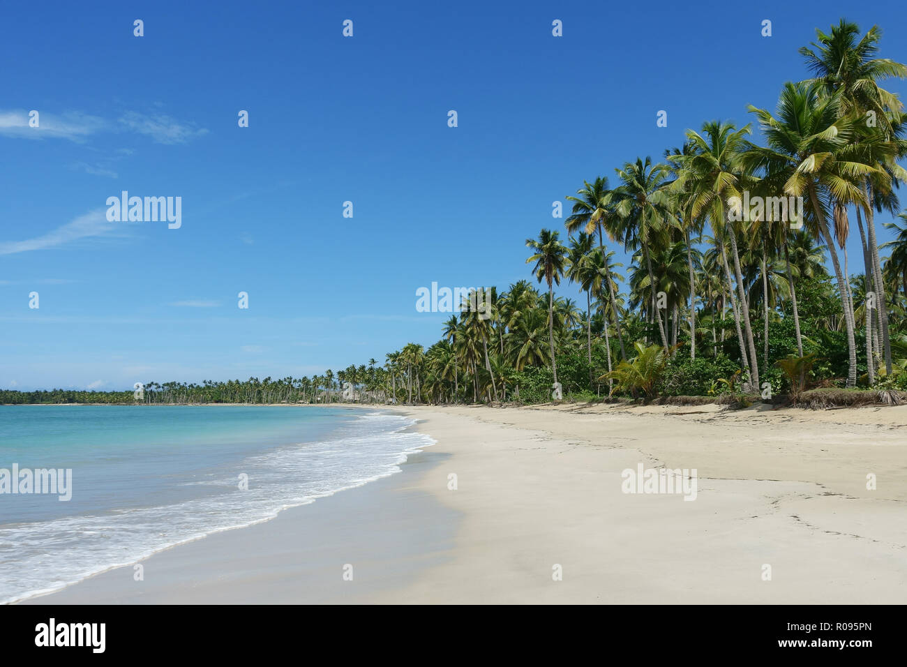 Beautiful natural beach with palm trees, Samana, Dominican Republic ...