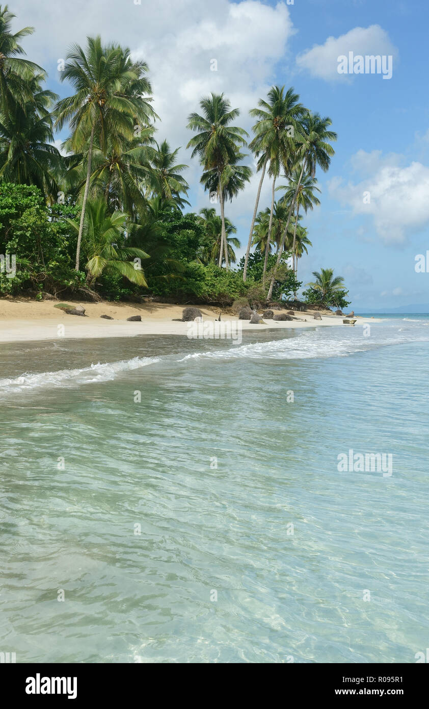 Beautiful natural beach with palm trees, Samana, Dominican Republic ...