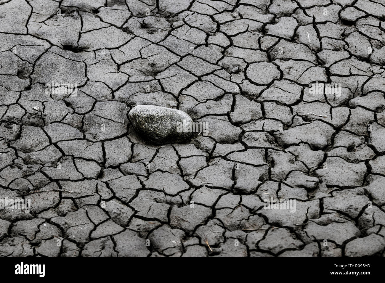 Dry cracked mud close up with a rock embedded Stock Photo - Alamy