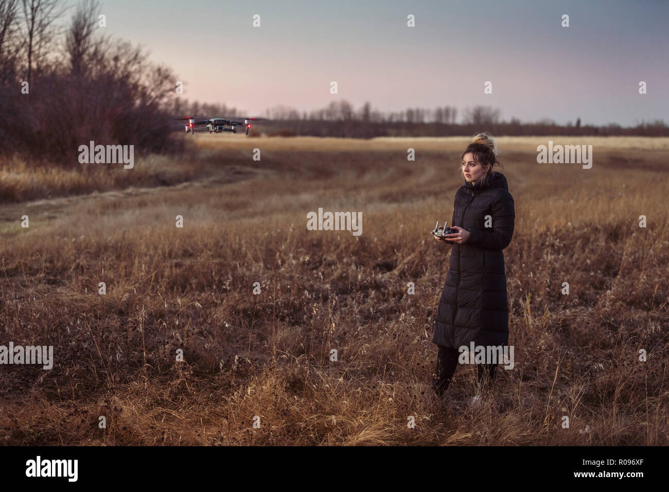 Female drone pilot looks at drone while operating in a field during ...