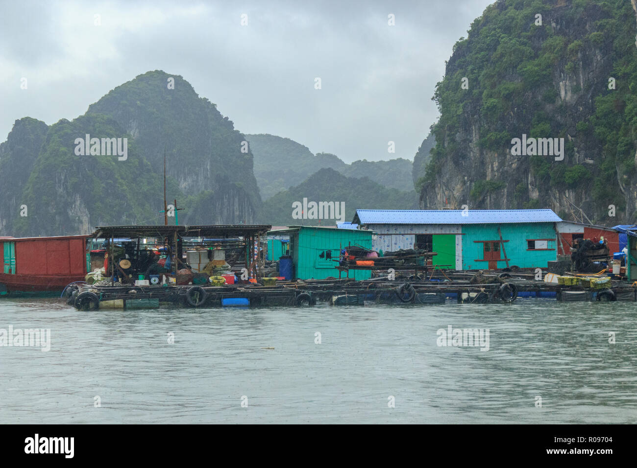 floating fish farm in ha long bay vietnam Stock Photo - Alamy