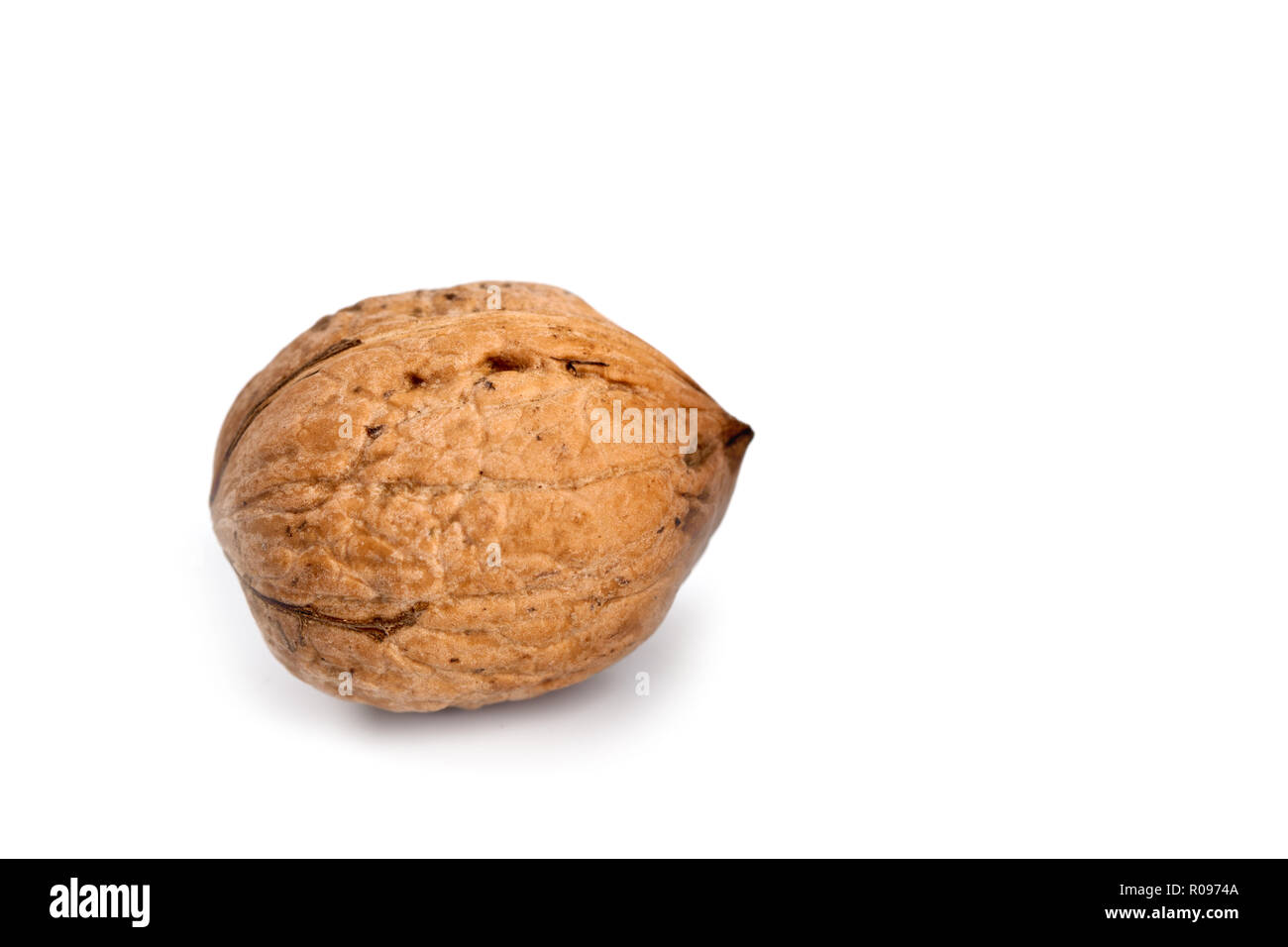 single fresh walnut isolated on a white background Stock Photo - Alamy
