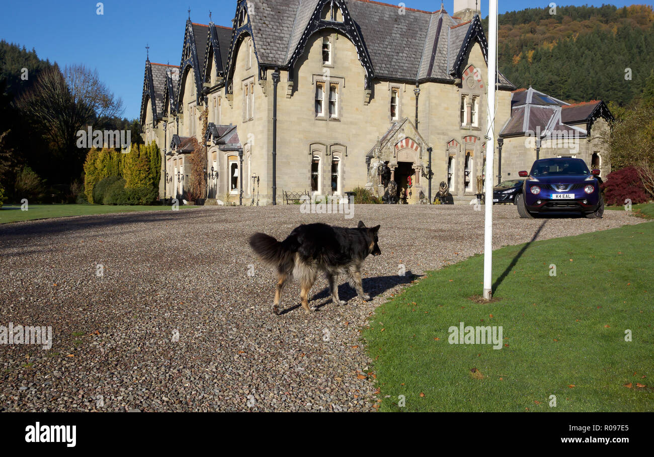 Abbey cwm hir hi-res stock photography and images - Alamy
