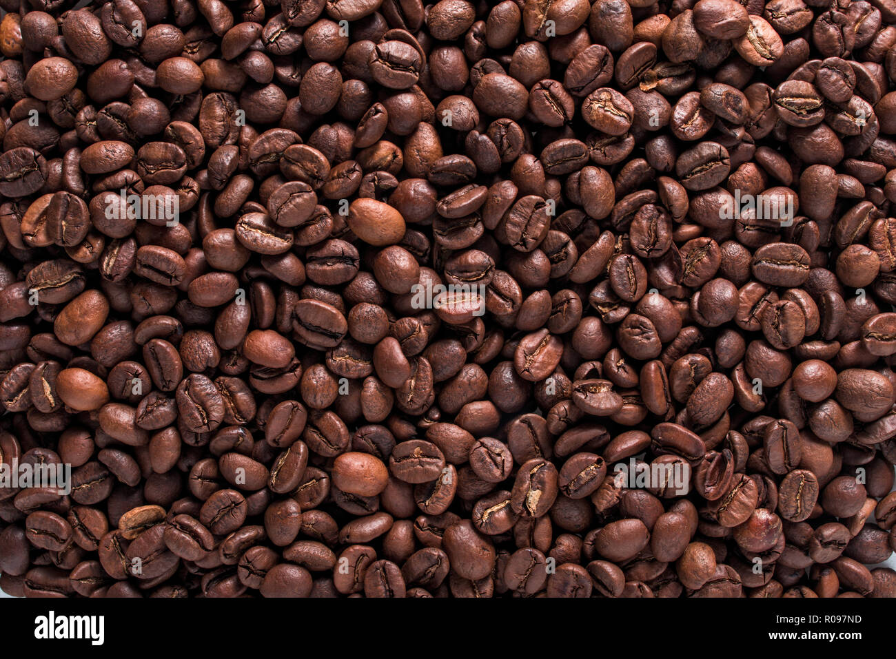 arabica coffee beans Stock Photo - Alamy