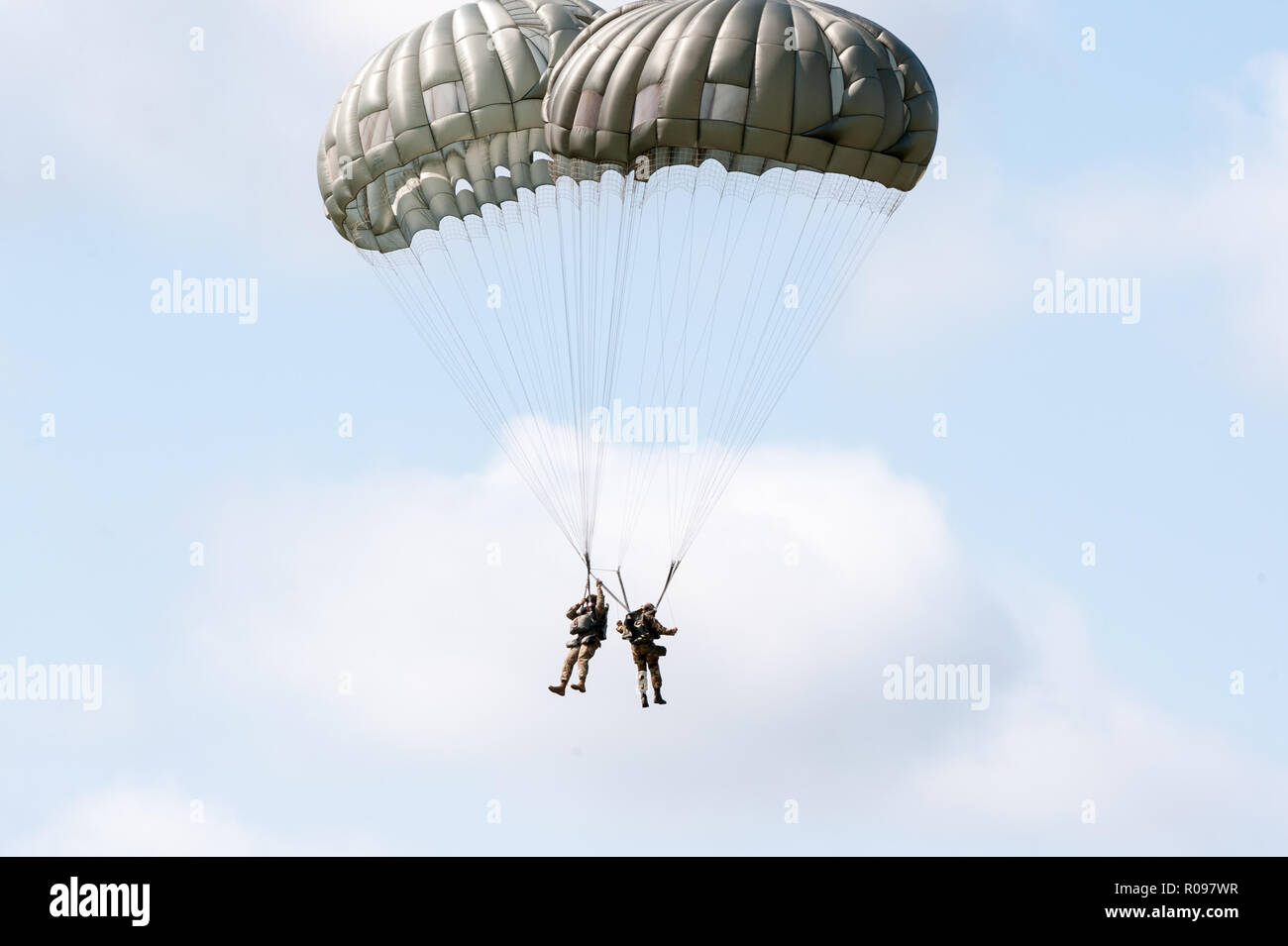 Odc mexico abn hi-res stock photography and images - Alamy