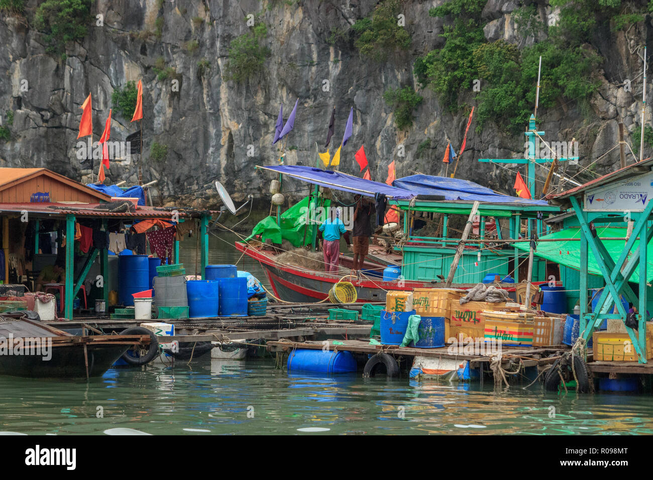 Vietnam fish farm hi-res stock photography and images - Alamy
