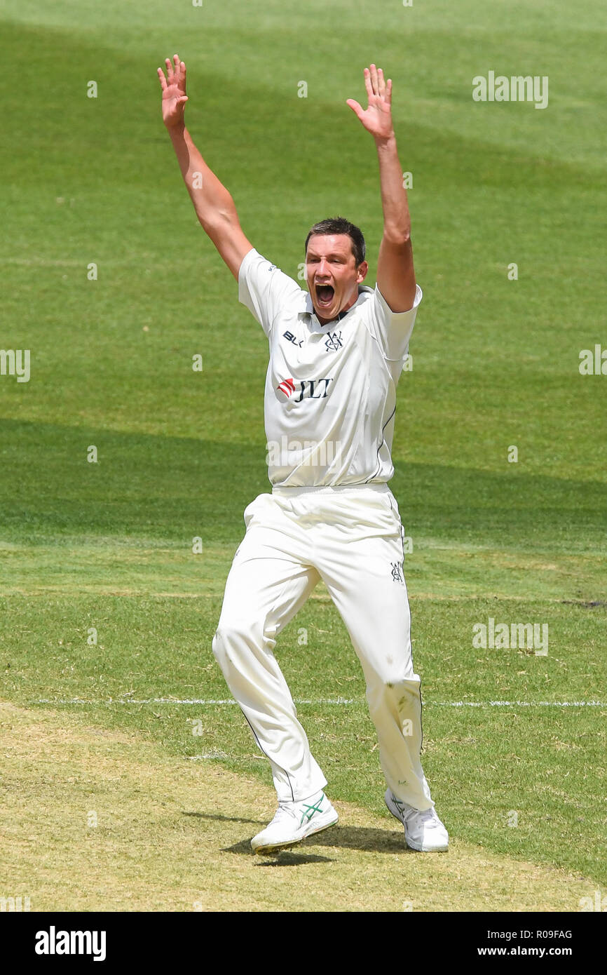 Cricket victoria hi-res stock photography and images - Alamy
