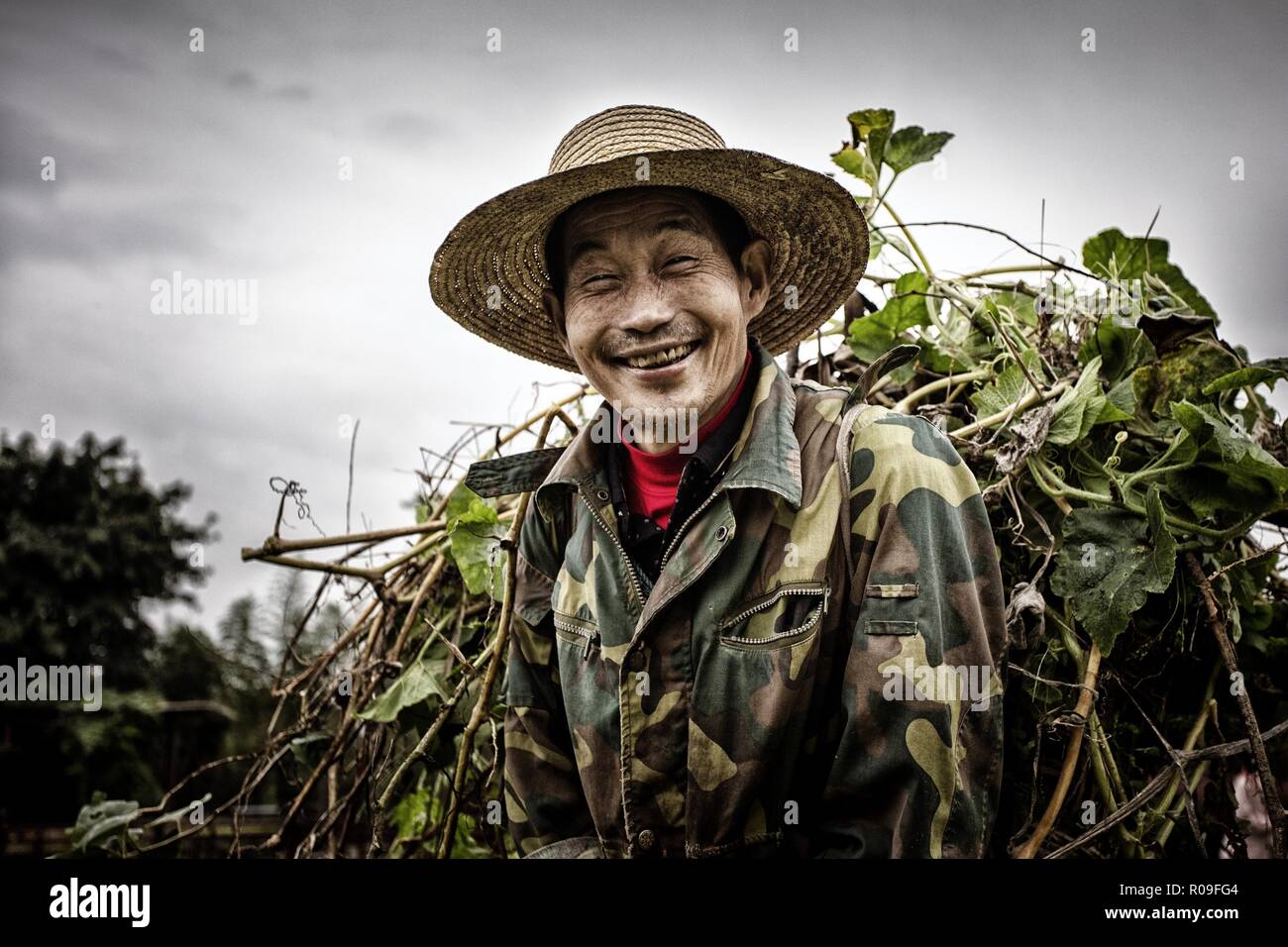 Chongqing, China. 3rd Nov, 2018. Chongqing, CHINA-Scenery of rural area ...