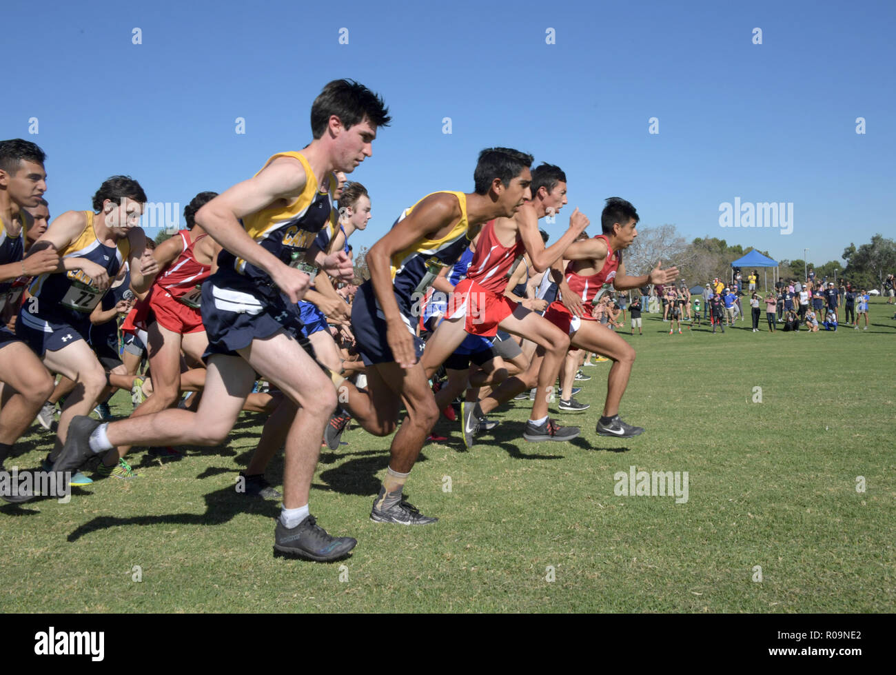 Junior cross country race hi-res stock photography and images - Alamy
