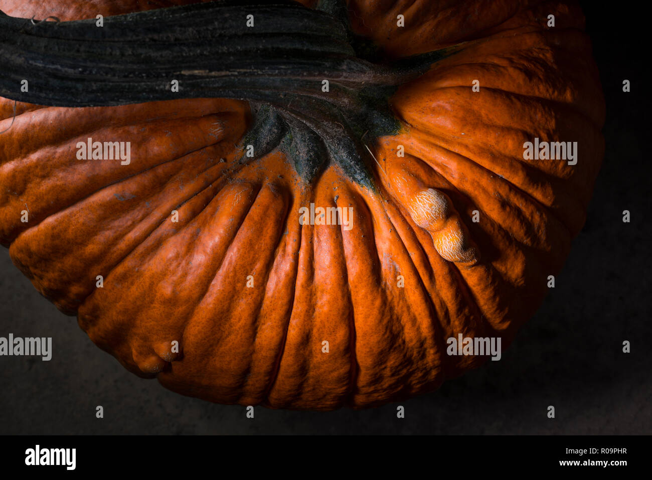 Pompion High Resolution Stock Photography and Images - Alamy