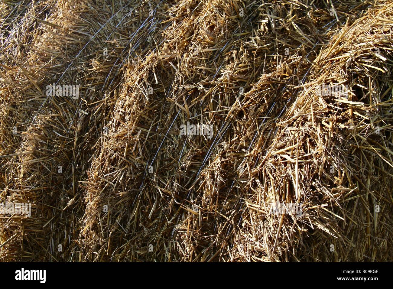 Drying hay bales hi-res stock photography and images - Alamy