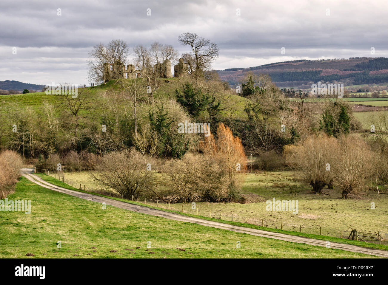 A day for a winter walk. The ruins of Stapleton Castle, near Presteigne ...